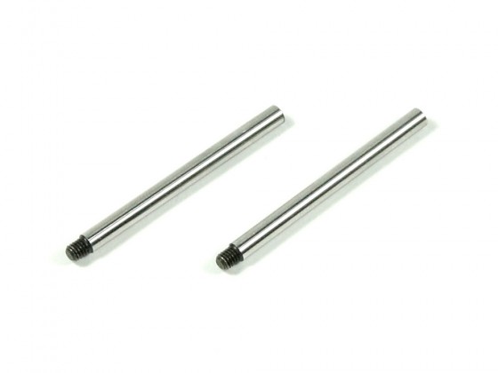 Rear Hub Carriers Hinge pin (2pcs) - SWORKz